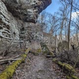 Red Cedar Trail, Illinois - 549 Reviews, Map | AllTrails