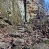 Red Cedar Trail, Illinois - 549 Reviews, Map | AllTrails