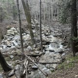 Heart Rock Trail, California - 3,091 Reviews, Map | AllTrails