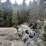 Heart Rock Trail, California - 3,091 Reviews, Map | AllTrails