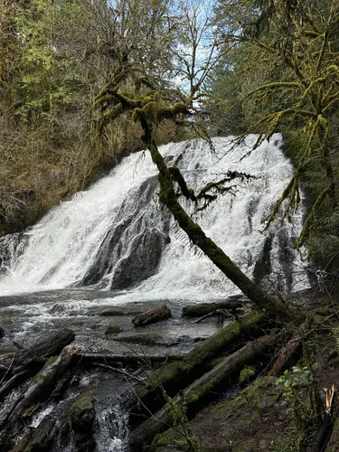 Best Waterfall Trails in Alsea | AllTrails