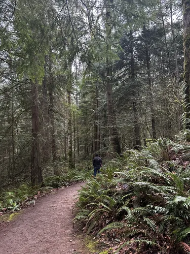 Best Hikes and Trails in Redmond Watershed Preserve | AllTrails
