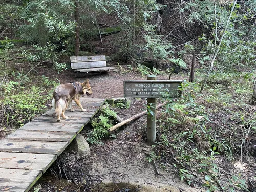 Best Kid Friendly Trails in Garland Ranch Regional Park | AllTrails