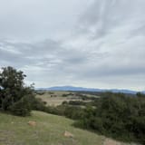 Vernal Pool Trail and Transpreserve Trail Loop, California - 391 ...