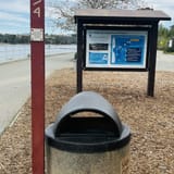 Lake Miramar Trail, California - 3,651 Reviews, Map | AllTrails