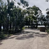 Lake Miramar Trail, California - 3,651 Reviews, Map | AllTrails