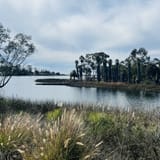 Lake Miramar Trail, California - 3,651 Reviews, Map | AllTrails