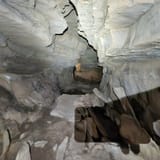 Cave River Valley Trail, Indiana - 189 Reviews, Map | AllTrails
