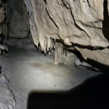 Cave River Valley Trail, Indiana - 189 Reviews, Map | AllTrails