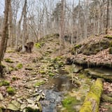 Cave River Valley Trail, Indiana - 189 Reviews, Map | AllTrails