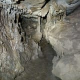 Cave River Valley Trail, Indiana - 189 Reviews, Map | AllTrails