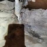 Cave River Valley Trail, Indiana - 189 Reviews, Map | AllTrails
