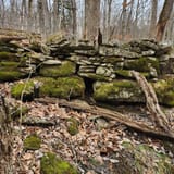 Cave River Valley Trail, Indiana - 189 Reviews, Map | AllTrails