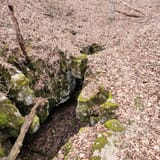 Cave River Valley Trail, Indiana - 189 Reviews, Map | AllTrails