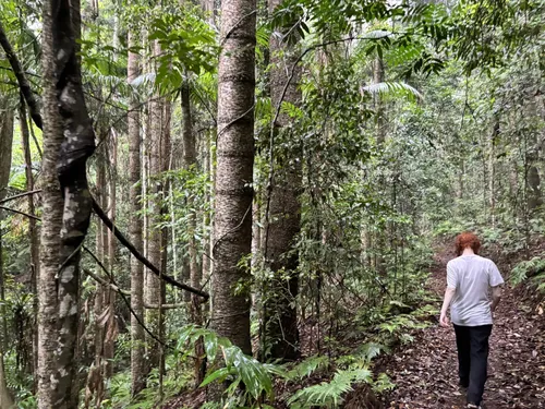 Best River Trails in Highvale | AllTrails