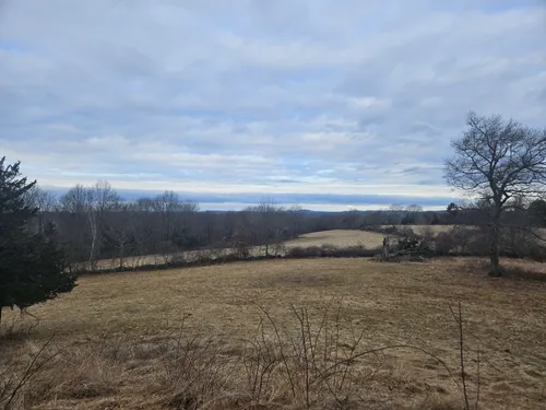 Best Hikes and Trails in John J. Donovan Reservation and Sagamore Hill ...
