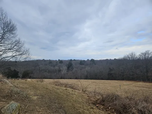 Best Hikes and Trails in John J. Donovan Reservation and Sagamore Hill ...