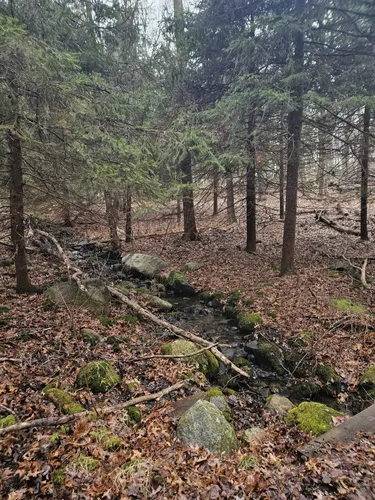 Best Hikes and Trails in John J. Donovan Reservation and Sagamore Hill ...