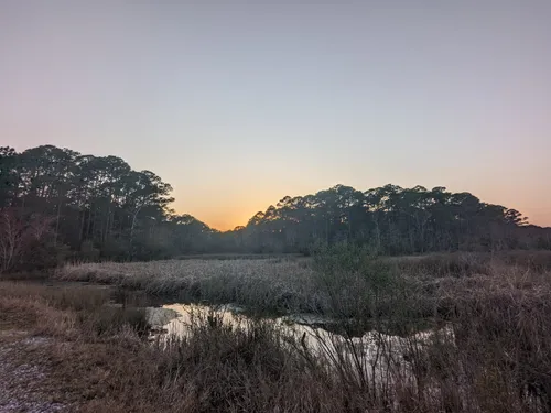 Best Forest Trails in Shepard State Park | AllTrails