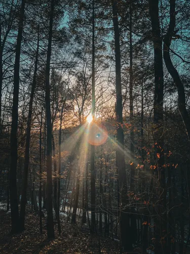 Best Hikes and Trails in Tyler Mill Preserve | AllTrails