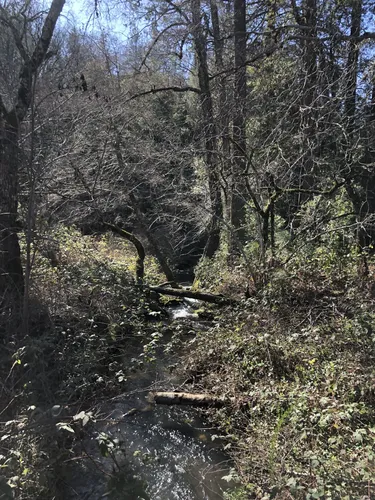 Best Hikes and Trails in Weimar University | AllTrails