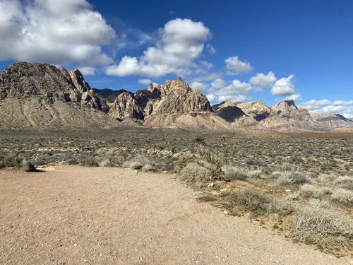 10 Best Trails and Hikes in Blue Diamond | AllTrails