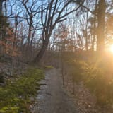 Mossy Ridge Trail, Tennessee - 6,437 Reviews, Map | AllTrails