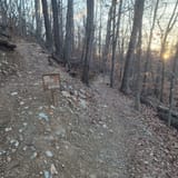 Mossy Ridge Trail, Tennessee - 6,437 Reviews, Map | AllTrails