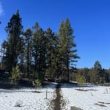 Riley Ranch Trails, Oregon - 391 Reviews, Map | AllTrails