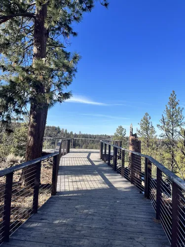 Best Hikes and Trails in Riley Ranch Nature Reserve | AllTrails