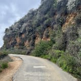 Murphy Ranch Trail, California - 3,638 Reviews, Map | AllTrails