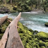 Staircase Rapids Loop, Washington - 2,443 Reviews, Map | AllTrails