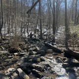 Raven Rocks via Appalachian Trail, Virginia - 5,759 Reviews, Map ...