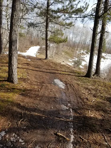 Best Hikes and Trails in West Hawk Lake | AllTrails