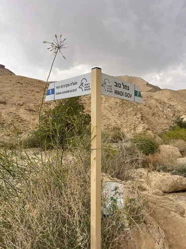 Best Hikes and Trails in Makhteshim and Ein Yahav Nature Reserve ...