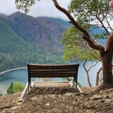 Wesley Ridge, British Columbia, Canada - 776 Reviews, Map | AllTrails