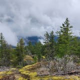 Wesley Ridge, British Columbia, Canada - 776 Reviews, Map | AllTrails
