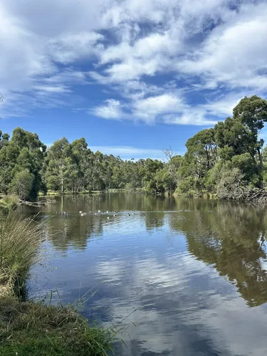 Best Hikes and Trails in Birdsland Reserve | AllTrails