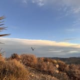 Ryan Mountain, California - 7,159 Reviews, Map | AllTrails