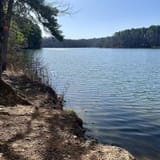 Lake Wedington Hiking Trail, Arkansas - 632 Reviews, Map | AllTrails