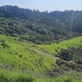 Round Top, Volcanic and Skyline Loop, California - 2,940 Reviews, Map ...