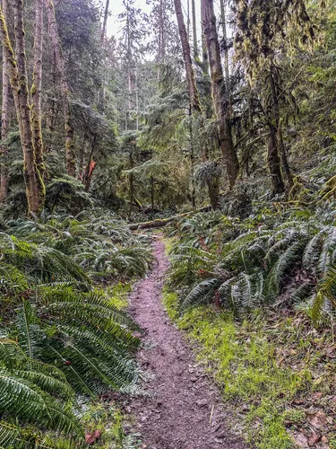 Best Walking Trails in Miller Peninsula State Park | AllTrails
