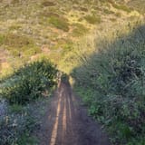 Ray Miller Backbone Trail, California - 1,980 Reviews, Map | AllTrails