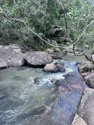 Best Waterfall Trails in Girringun National Park | AllTrails