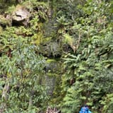 Cecilia Waterfall via Cecilia Forest, Western Cape, South Africa ...