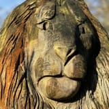 Banstead Woods Nature Circular, Surrey, England - 703 Reviews, Map ...