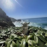 Tomales Point Trail, California - 6,287 Reviews, Map | AllTrails