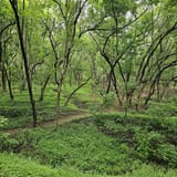 Baner and Pashan Hill Trail, Maharashtra, India - 28 Reviews, Map ...