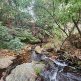 Sterkfontein Heritage Lodge Trail, Gauteng, South Africa - 107 Reviews ...