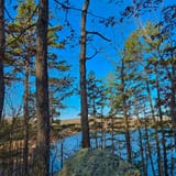 Crane Lake Trail, Missouri - 138 Reviews, Map | AllTrails